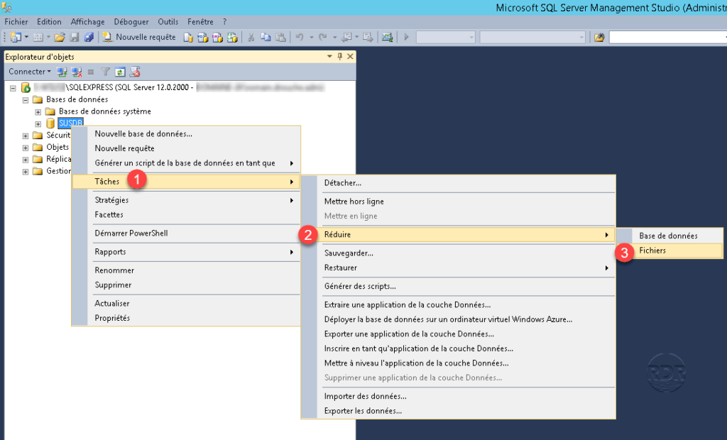 Optimize the space of SQL Server databases - RDR-IT