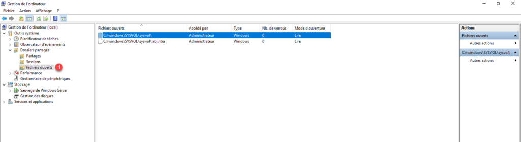 How to view open files on a network share on a Windows server - RDR-IT