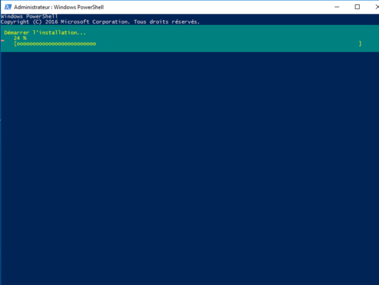 Windows Server: instale el cliente Telnet en Powershell - RDR-IT
