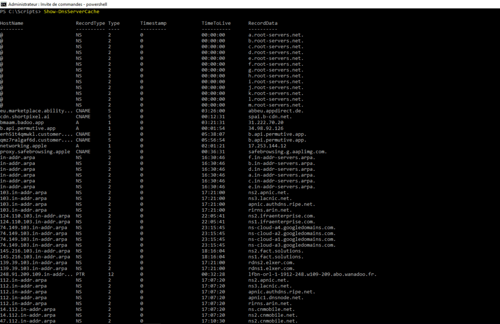Manage the DNS cache on Windows Server - RDR-IT