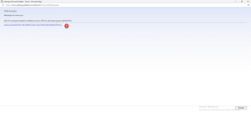 WSUS manually import an update from the Microsoft Update Catalog - RDR-IT
