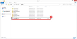 GPO: configure default programs - RDR-IT