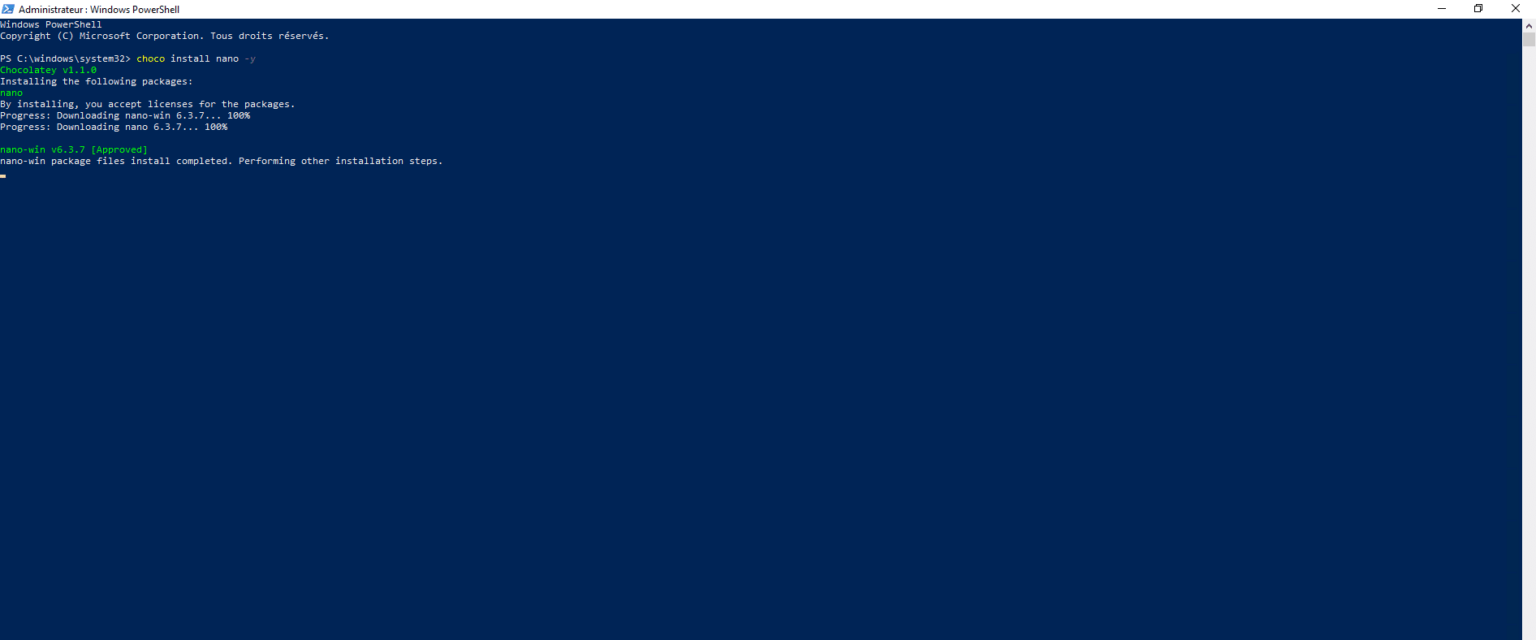 Install nano on Windows - RDR-IT