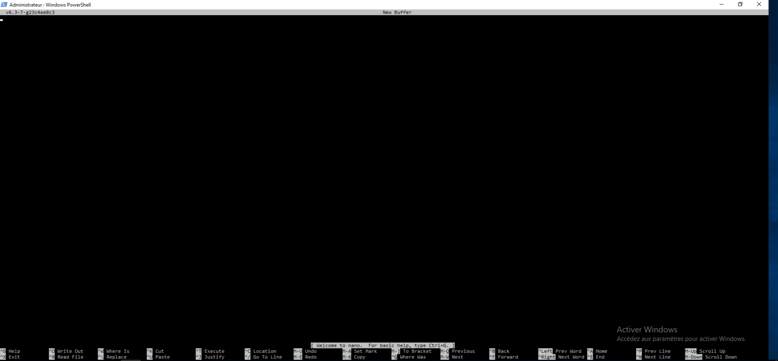 Install nano on Windows - RDR-IT