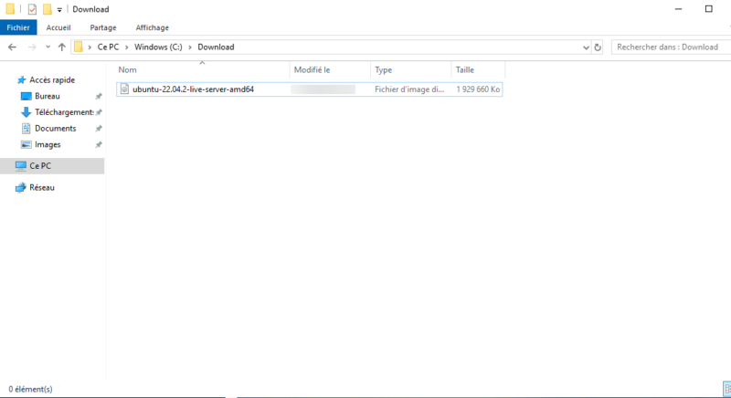 PowerShell: download a file in HTTP, HTTPS - RDR-IT