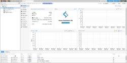 Home Assistant: Virtual machine installation with Proxmox - RDR-IT