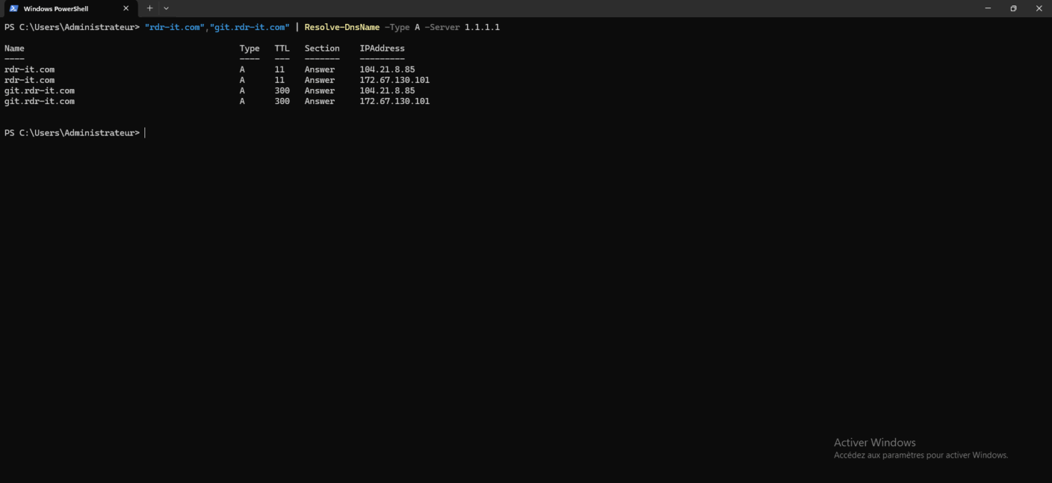 PowerShell: Resolve a DNS name with Resolve-DnsName - RDR-IT